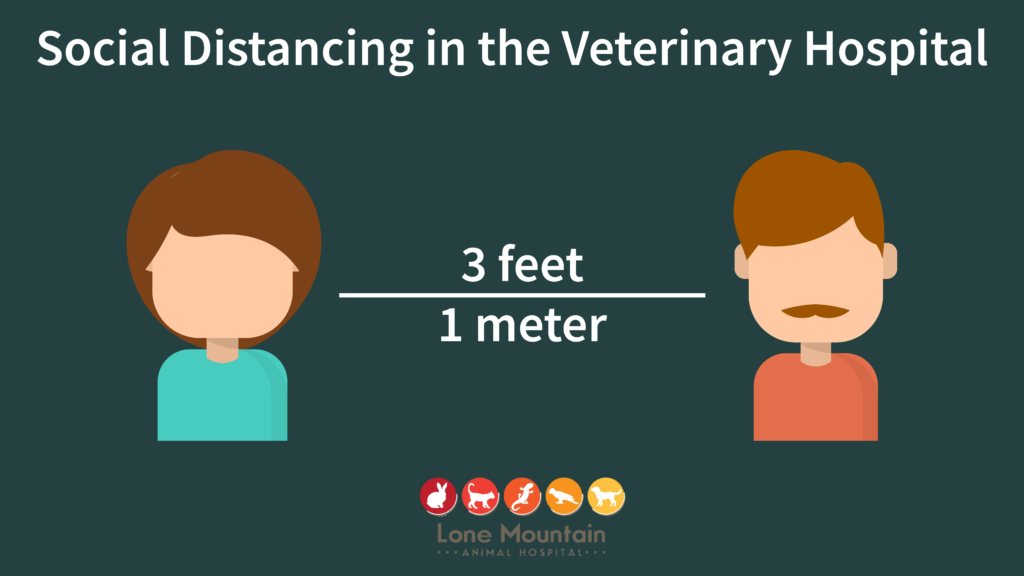 Social Distancing in the Veterinary Hospital - Lone Mountain Animal ...