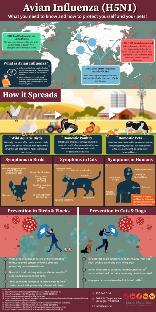 Avian Influenza: Signs, Symptoms, and Prevention - Lone Mountain Animal ...